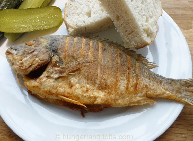 Fried Bream – Sült keszeg – Hungarian Tidbits